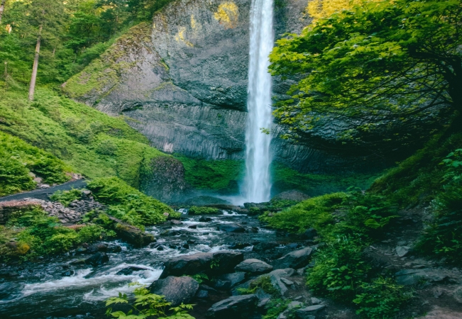 Discovering Dominica’s Natural Treasures: Middleham Falls,...