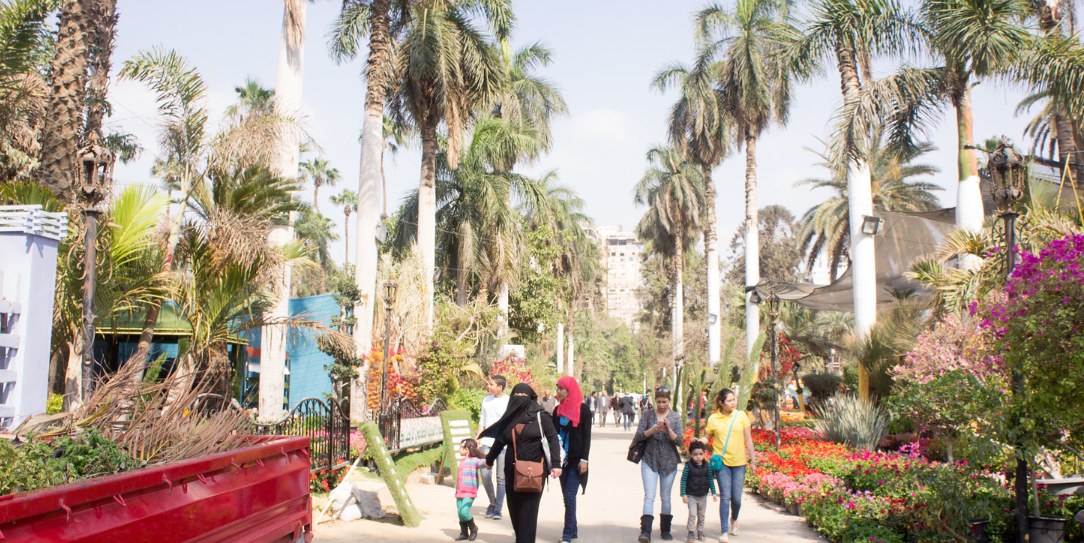 Cairo: The Extreme Beauty Of Nature...